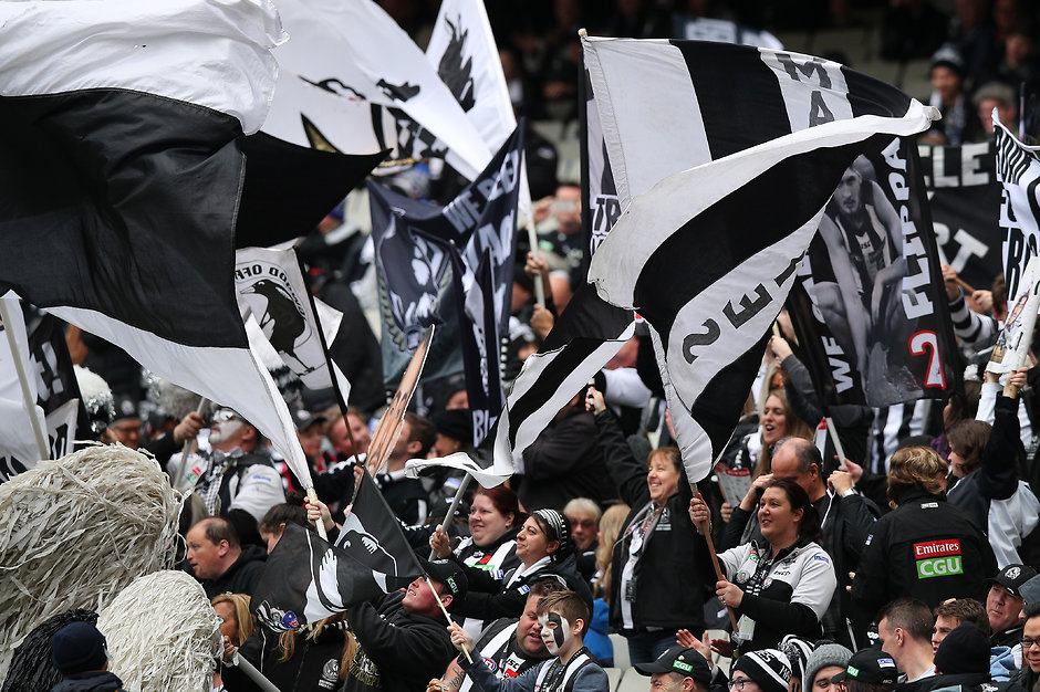 Support from Magpie Army delivers strong financial result