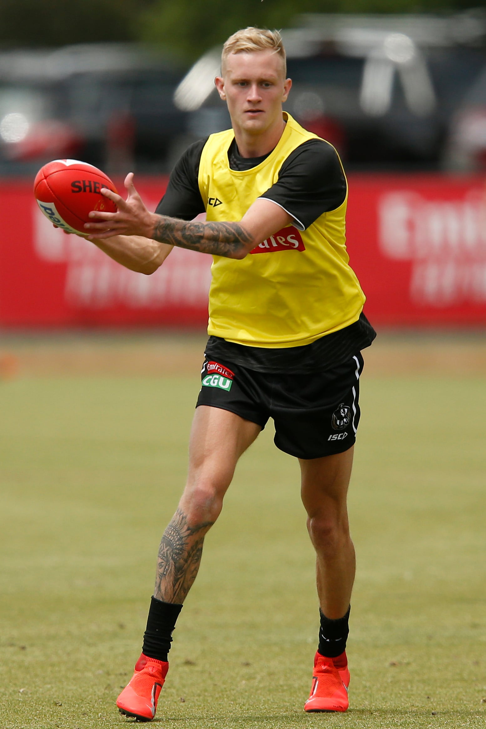 Stevo and Adams fit to face Dogs on Friday night
