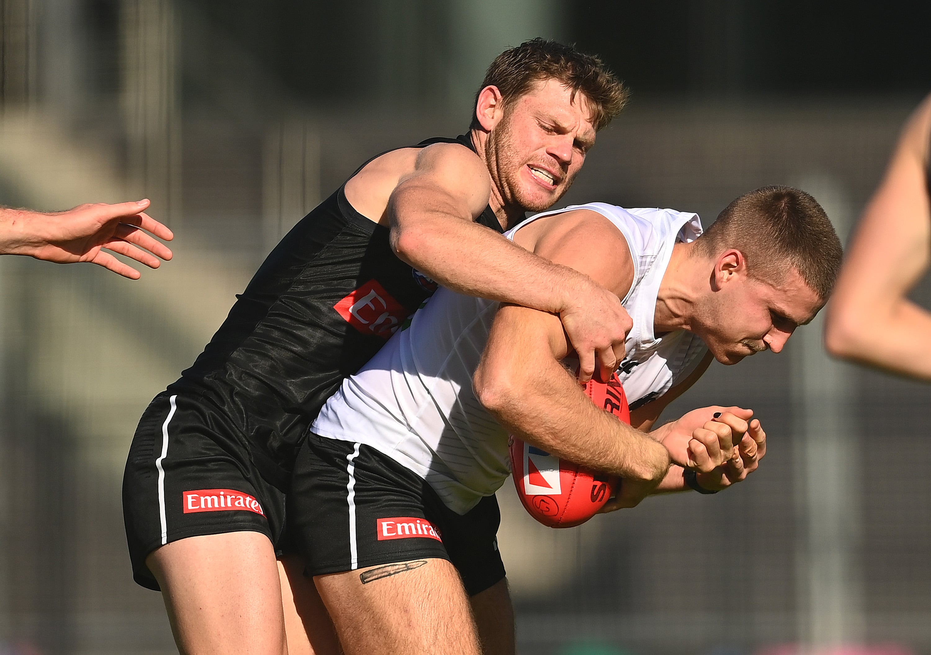 Adams raring to take on Tigers