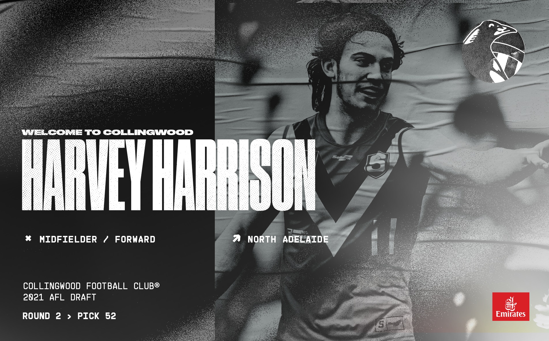 Harvey Harrison is a Magpie