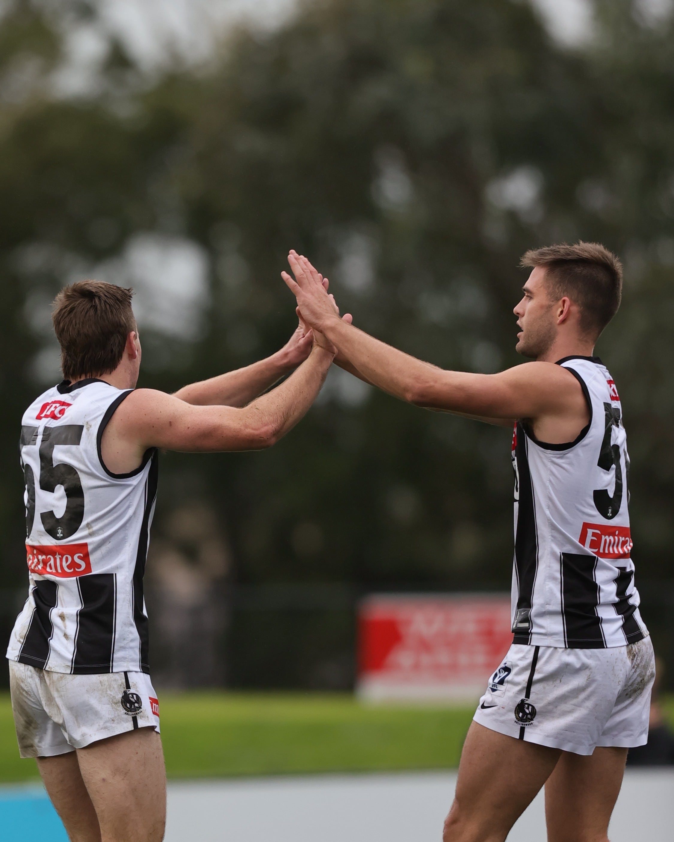Pies not good enough for undefeated Casey Demons