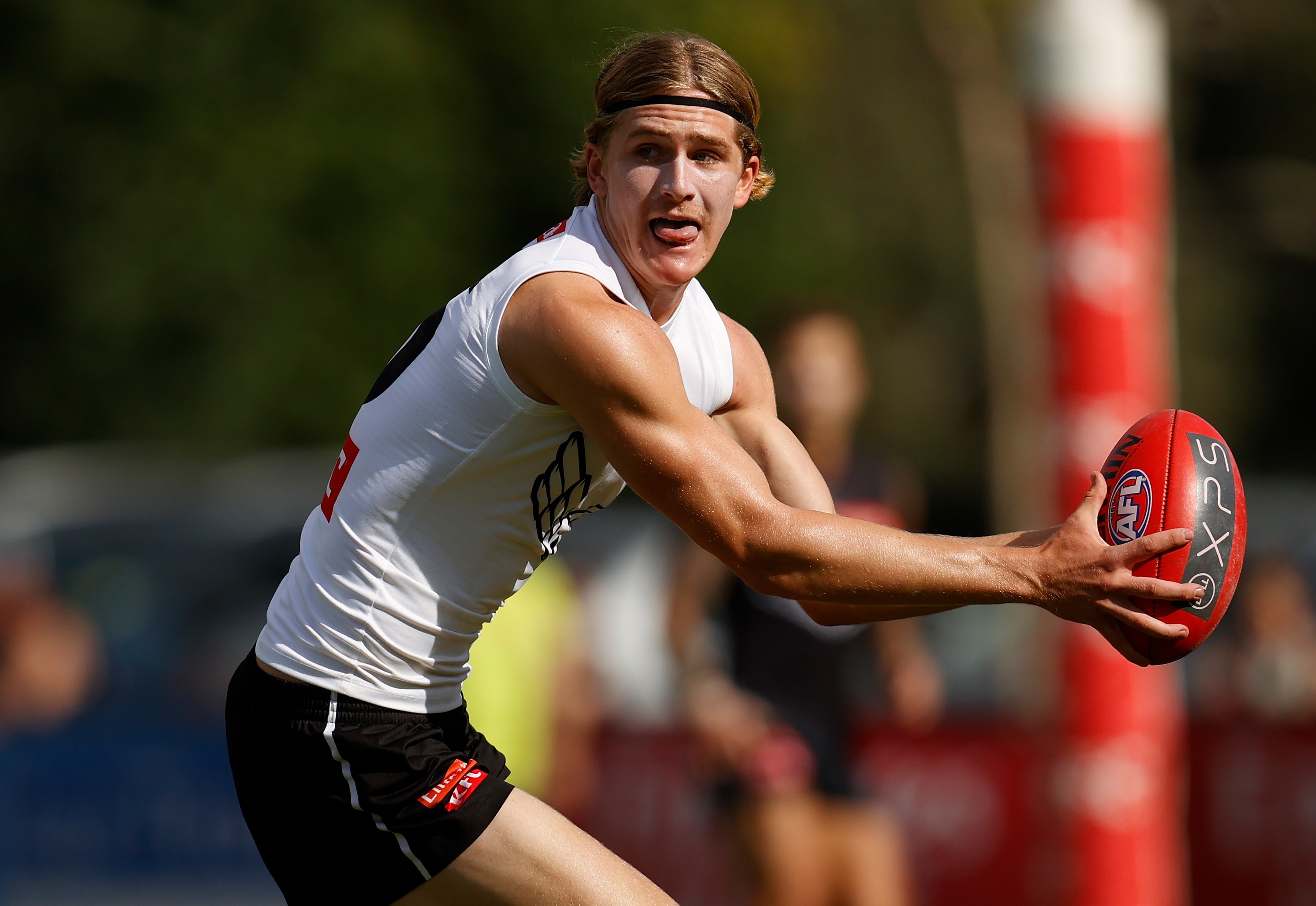 Allan commits to Pies’ future