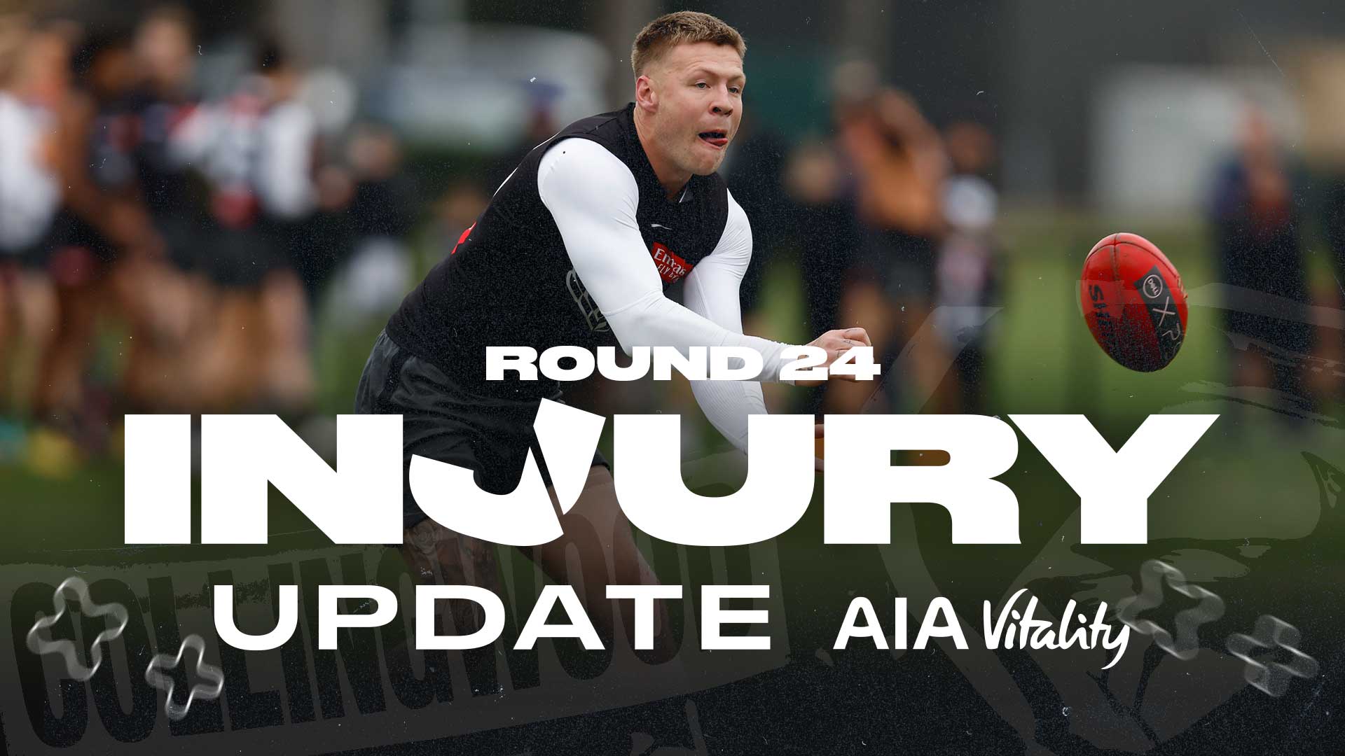 Injury Update: Round 24