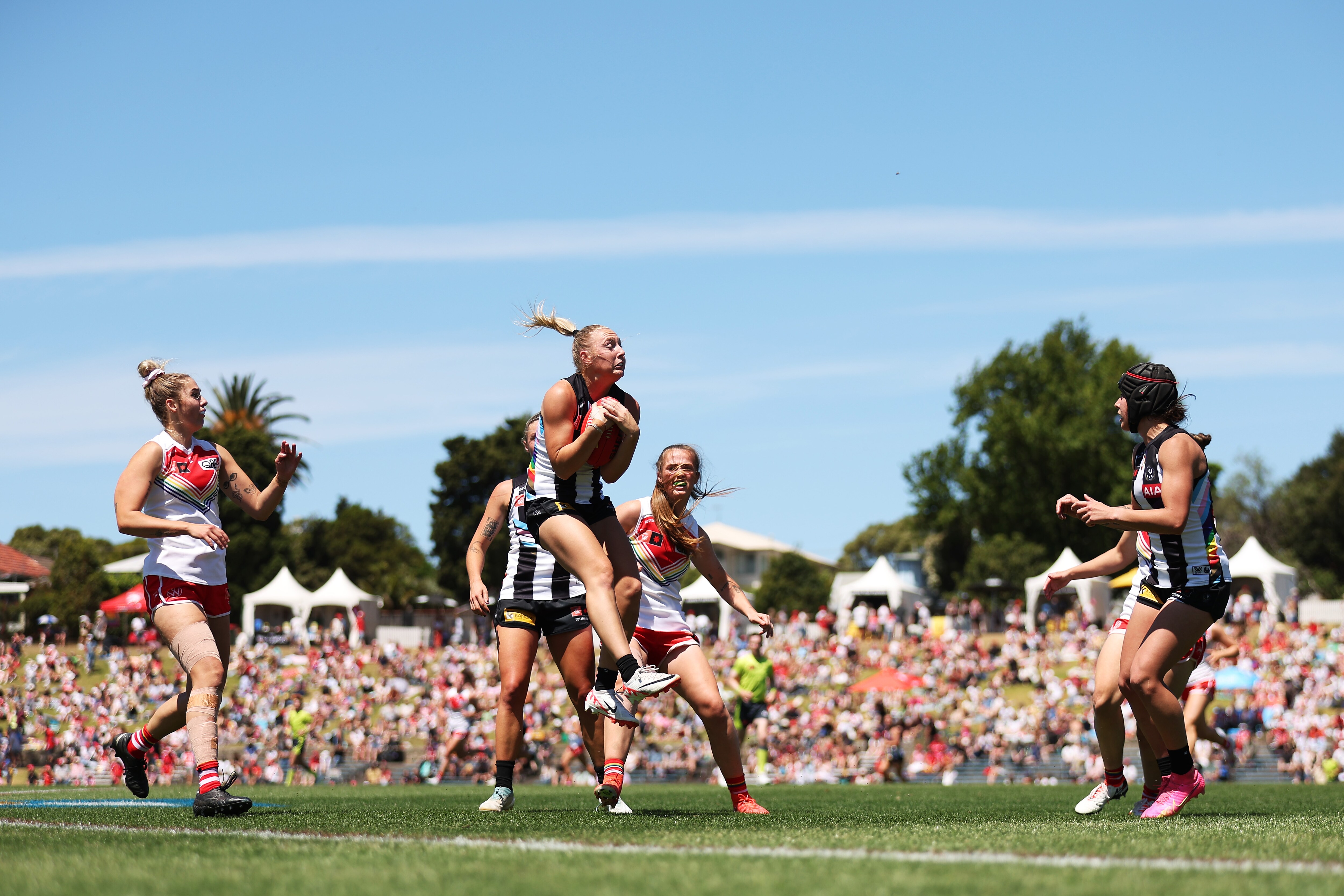 Pies defeated on the road
