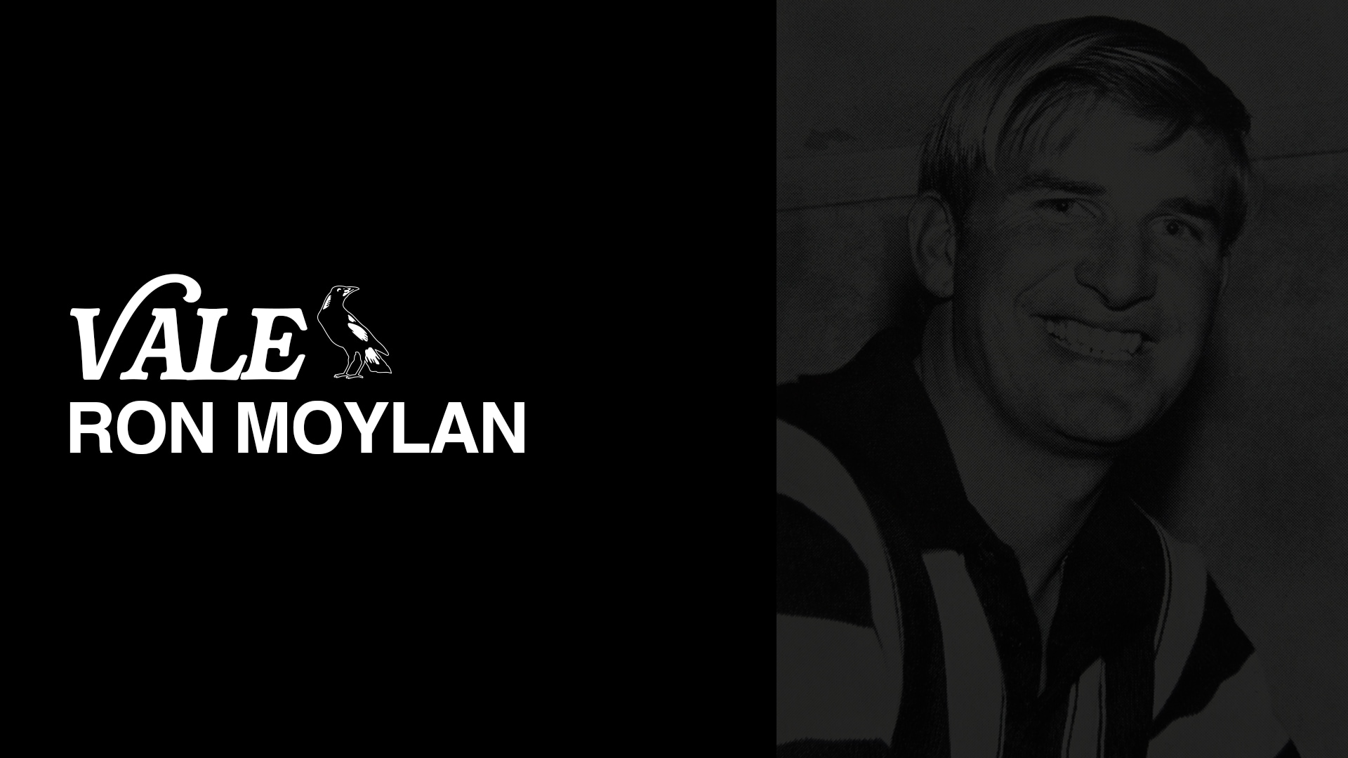 Vale Ron Moylan