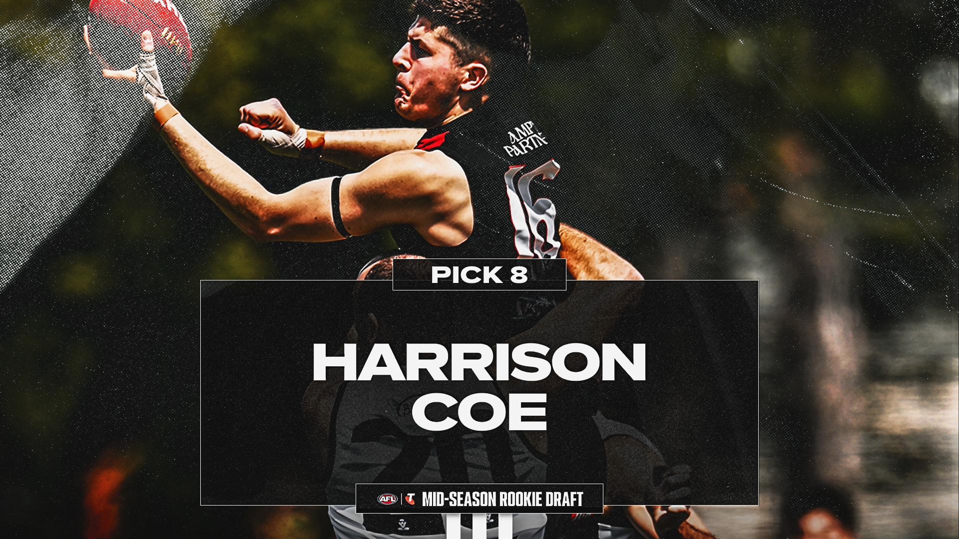 Pies go for Coe
