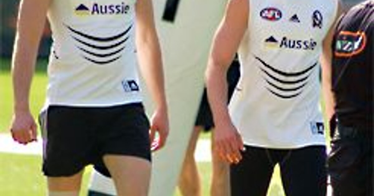 MCG training report