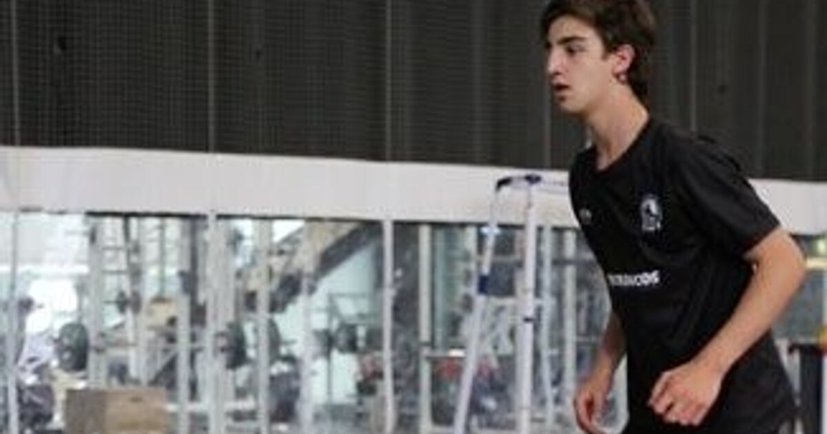 Peter Daicos Academy Update