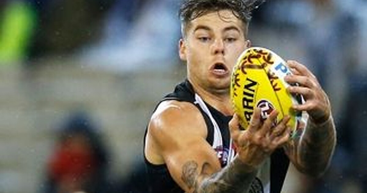 Magpie Army Award: The contenders