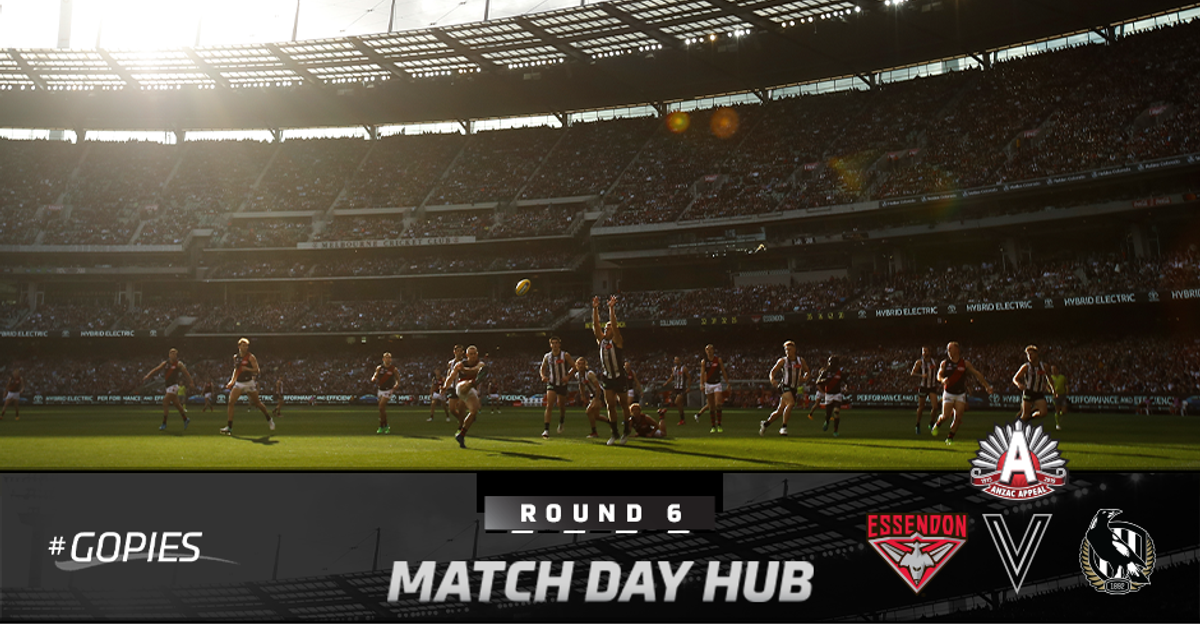 Match Day Hub: Round 6 v Essendon