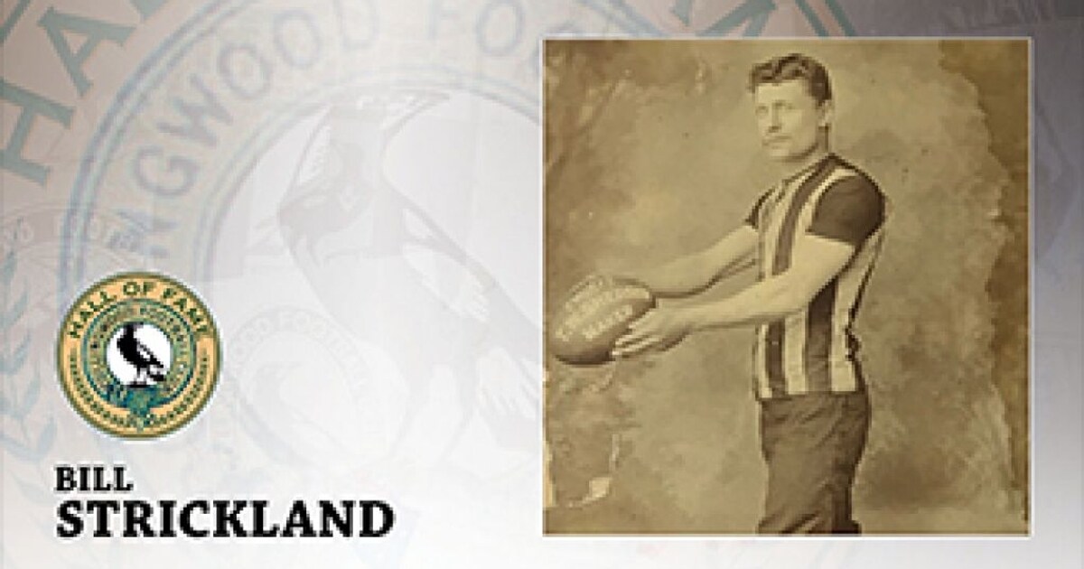 Magpie pioneer recognised