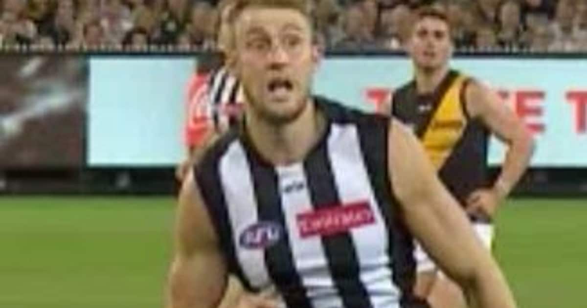 Pies v Tigers: Highlights
