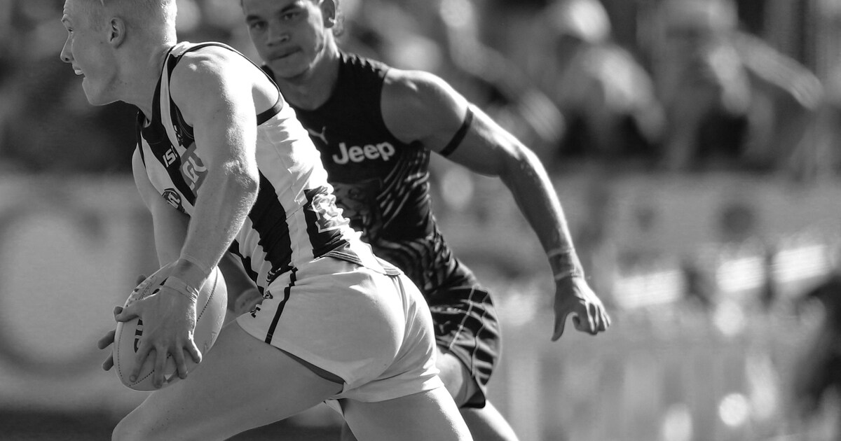 Marsh Series: Tigers v Pies