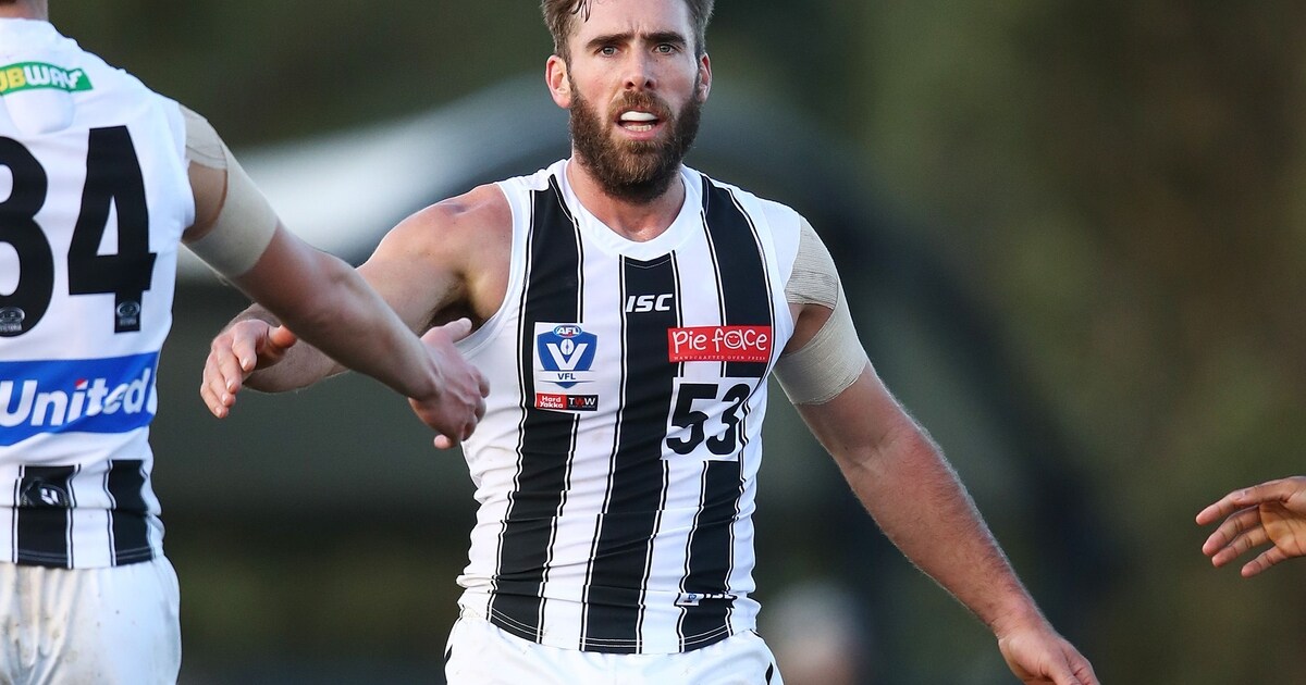 VFL: Hellier appointed captain for an eighth season