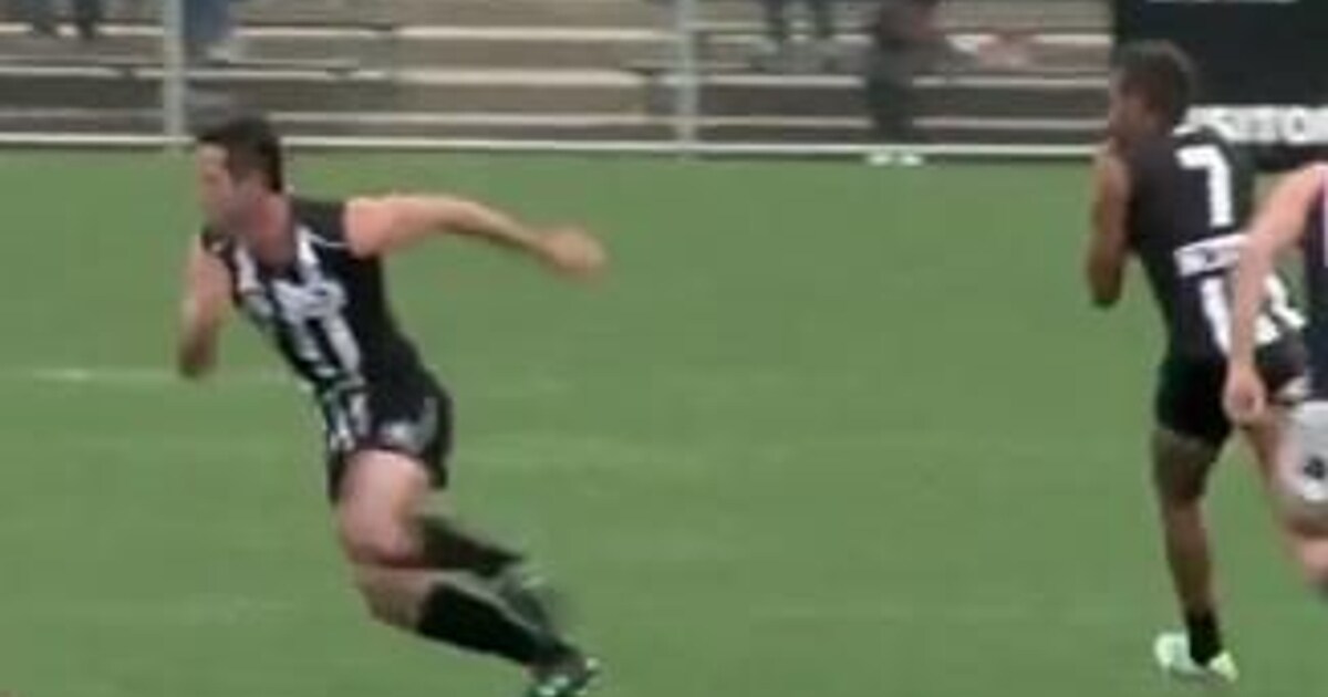 VFL: Alan Didak highlights