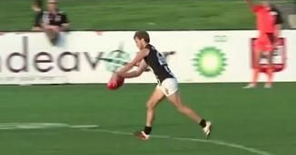 VFL: Tim Broomhead highlights
