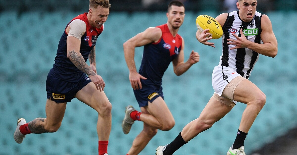 Pies trio lead votes