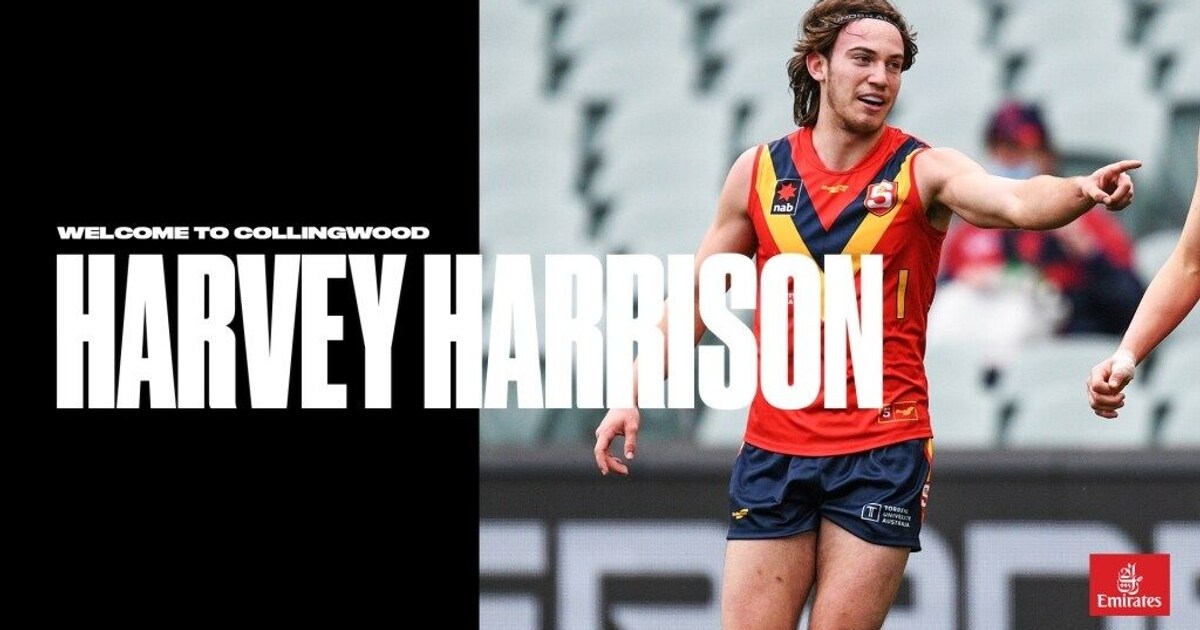 Draft Highlights: Harvey Harrison
