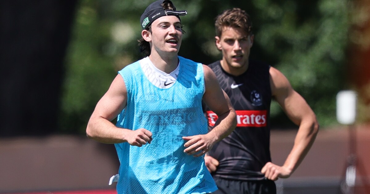 High hopes for Harvey Harrison