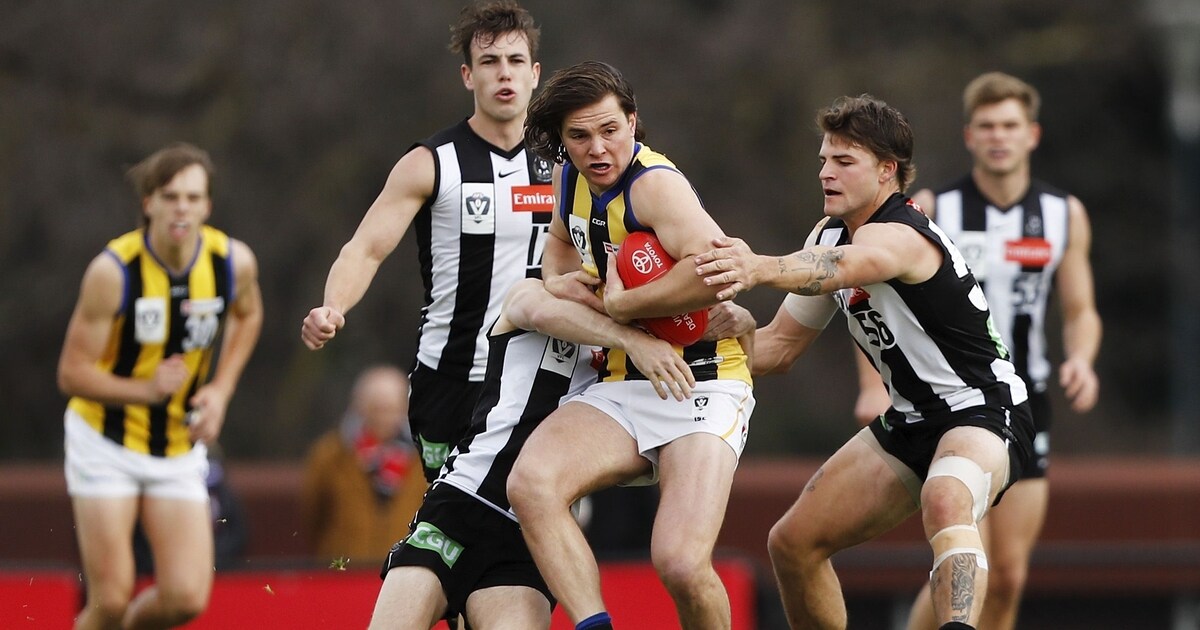 VFL Team Selection: Collingwood v Sandringham Practice Match