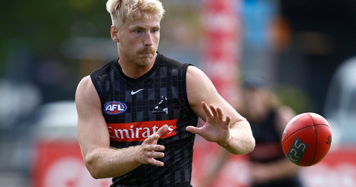 Frampton comes alive: Pies recruit earns call-up