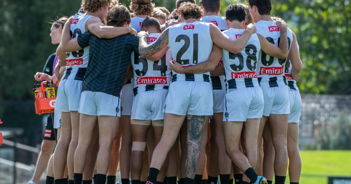 VFL Wrap: Round 3 v Lions