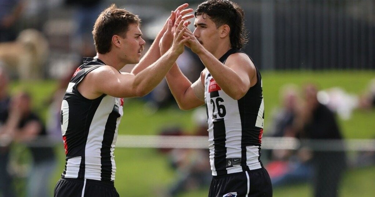 All the goals: VFL round 5 v Essendon