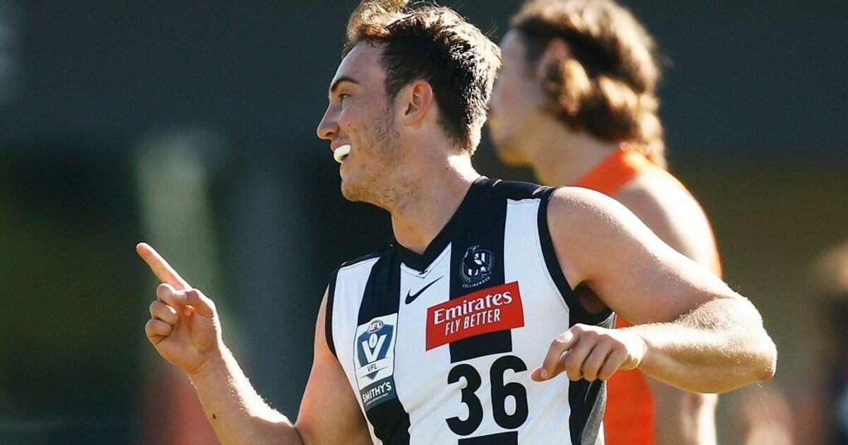 Highlights: Harvey Harrison