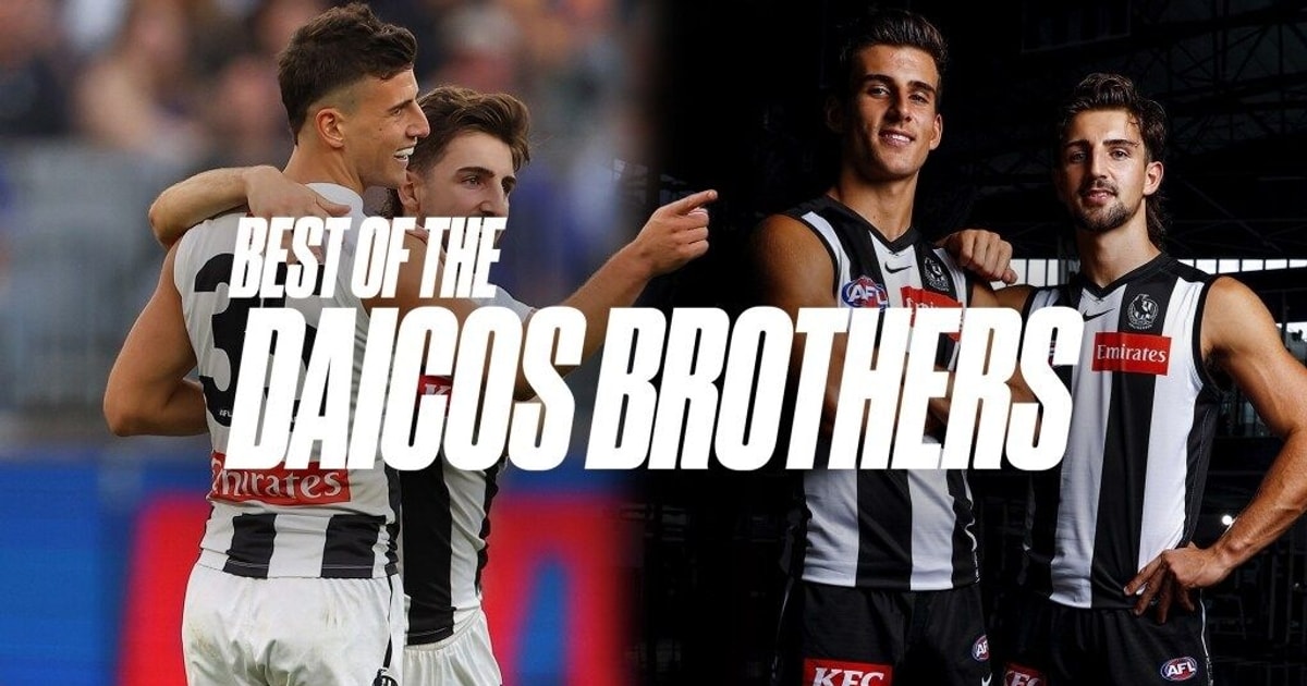 The best of Nick and Josh Daicos