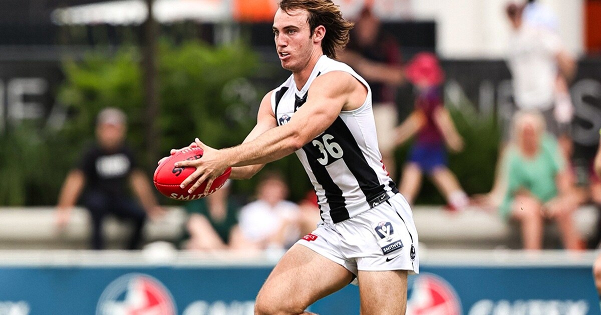 VFL highlights: Harrison stars again