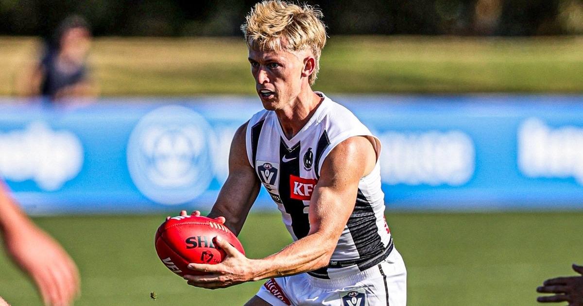 Joe Richards' six goals in Collingwood's Round Two clash against Brisbane