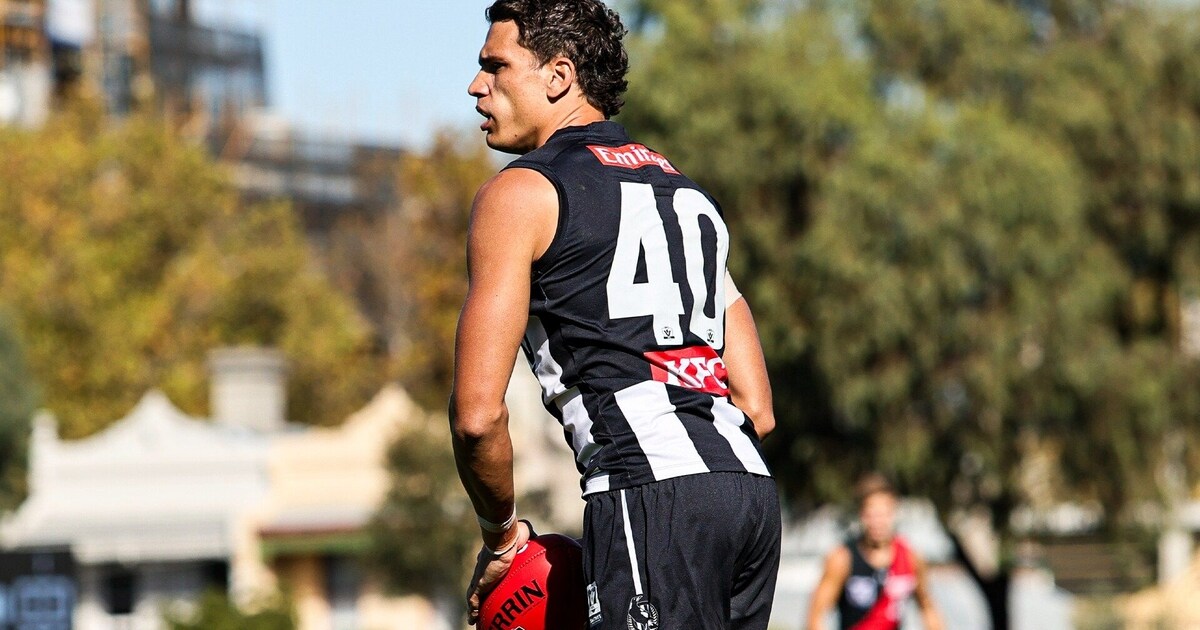 VFL highlights: Johnson impresses at both ends