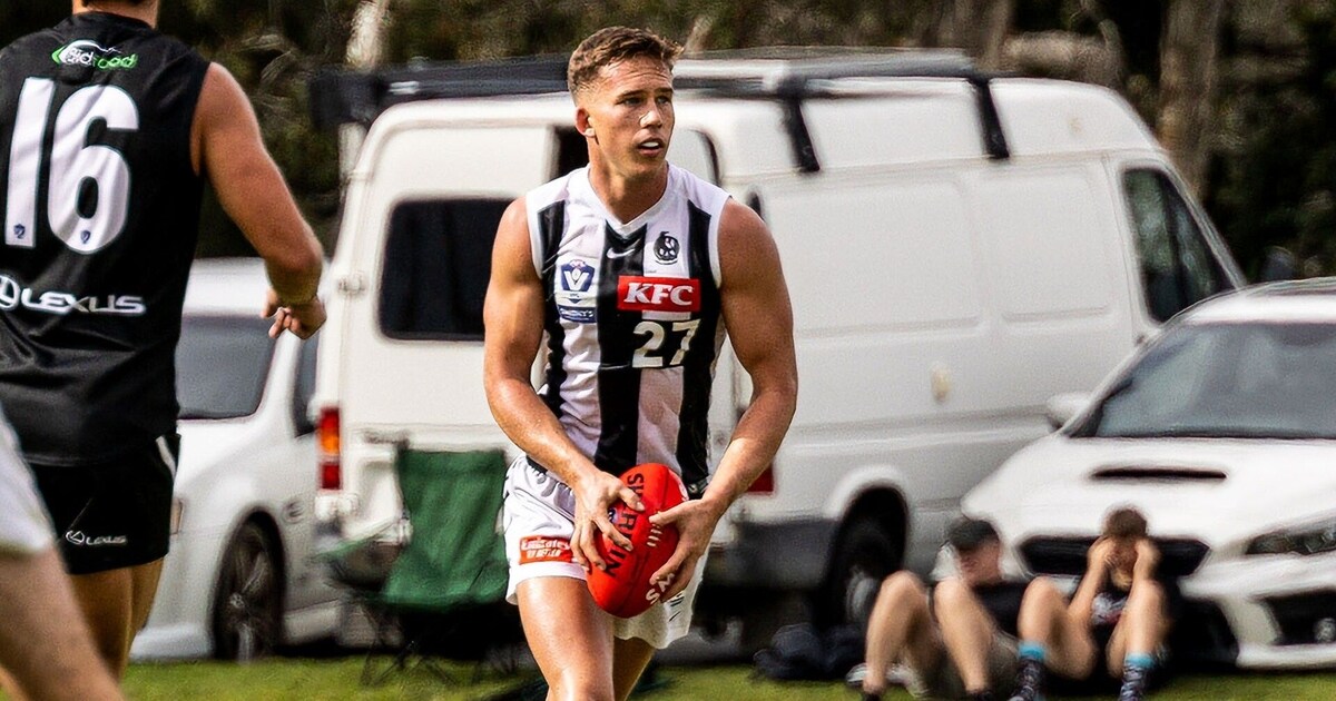 VFL Coach's MVP: The best of Bytel