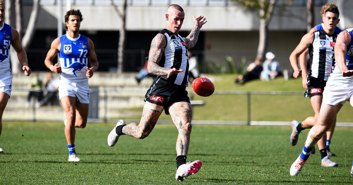 VFL highlights: Crocker's trio of goals and goal assists