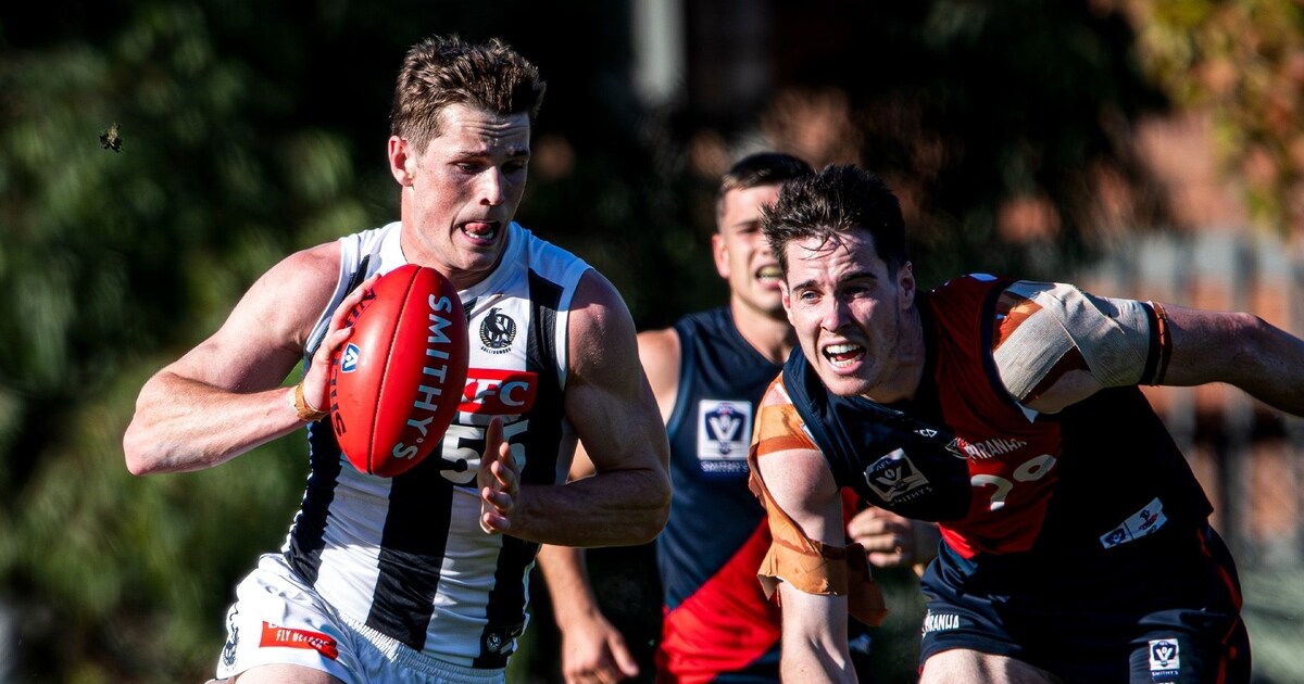 Ned Long's Highlights for Collingwood