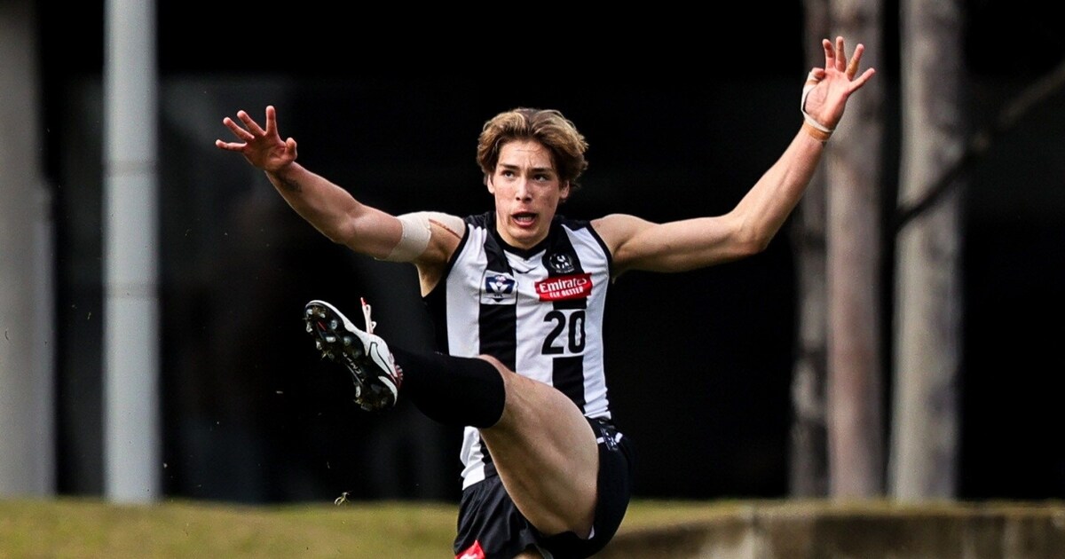 Iliro Smit on his first four months in the AFL system