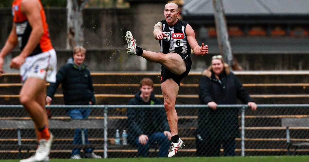 VFL Round 8 Highlights: Tom Mitchell