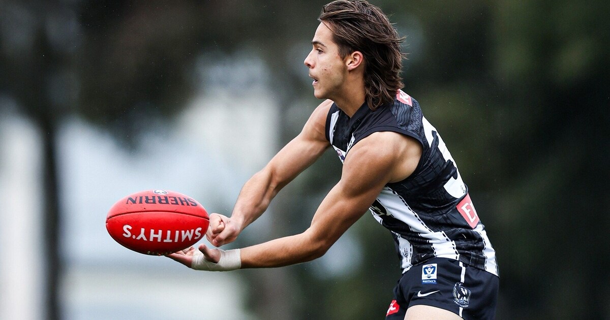 Hayes at VFL level