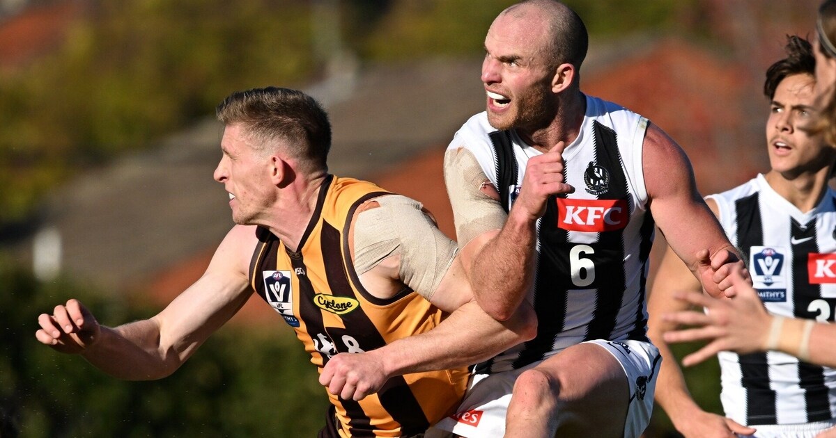 Mitchell leads from front in VFL win