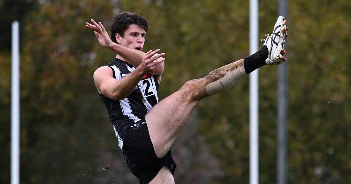 The best of Oscar Steene