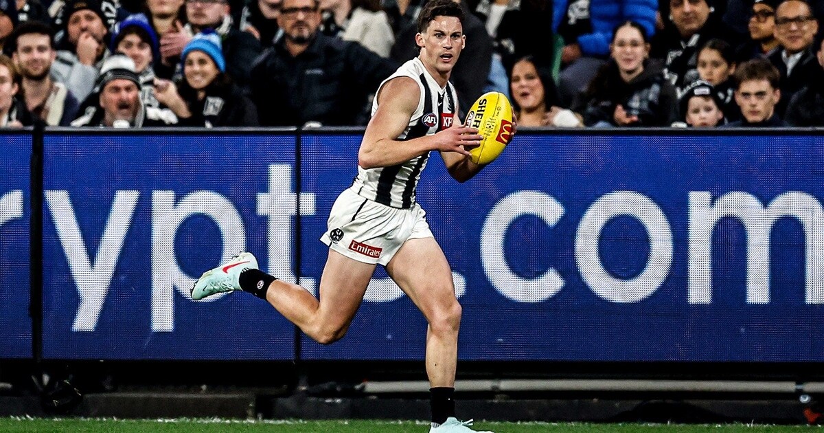 The best of Roan Steele