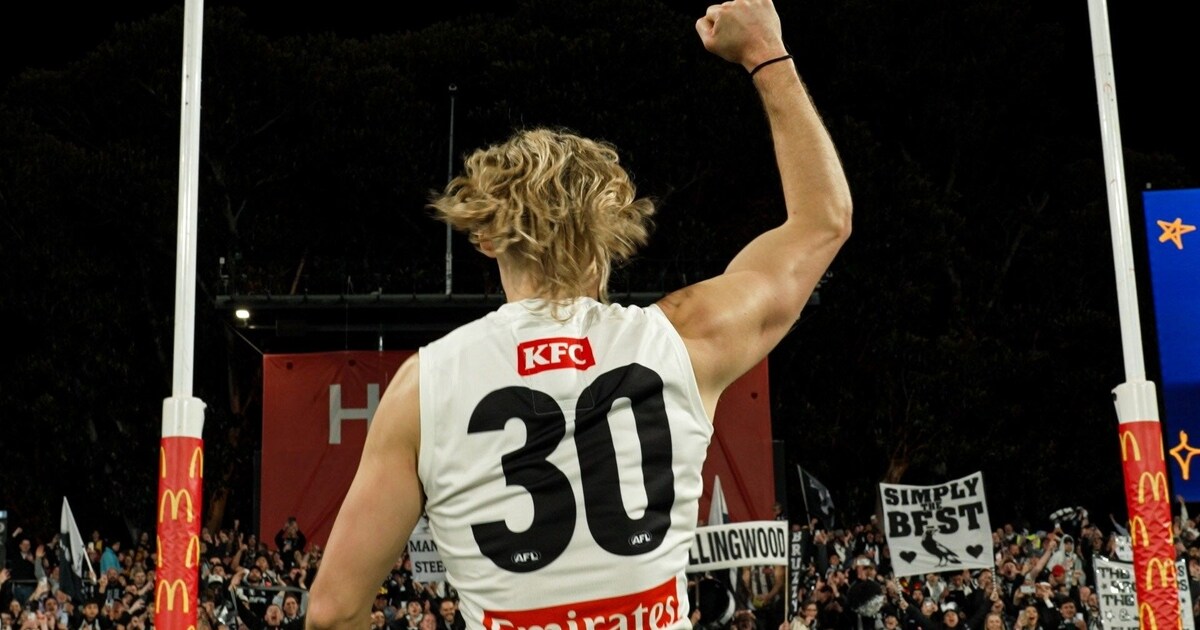 Magpie Army - The best in the world